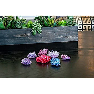 4M Crystal Growing Science Experimental Kit - 7 Crystal Science Experiments with Display Cases - Easy DIY STEM Toy Lab Experiment Specimens, Educational Gift for Kids, Teens, Boys & Girls