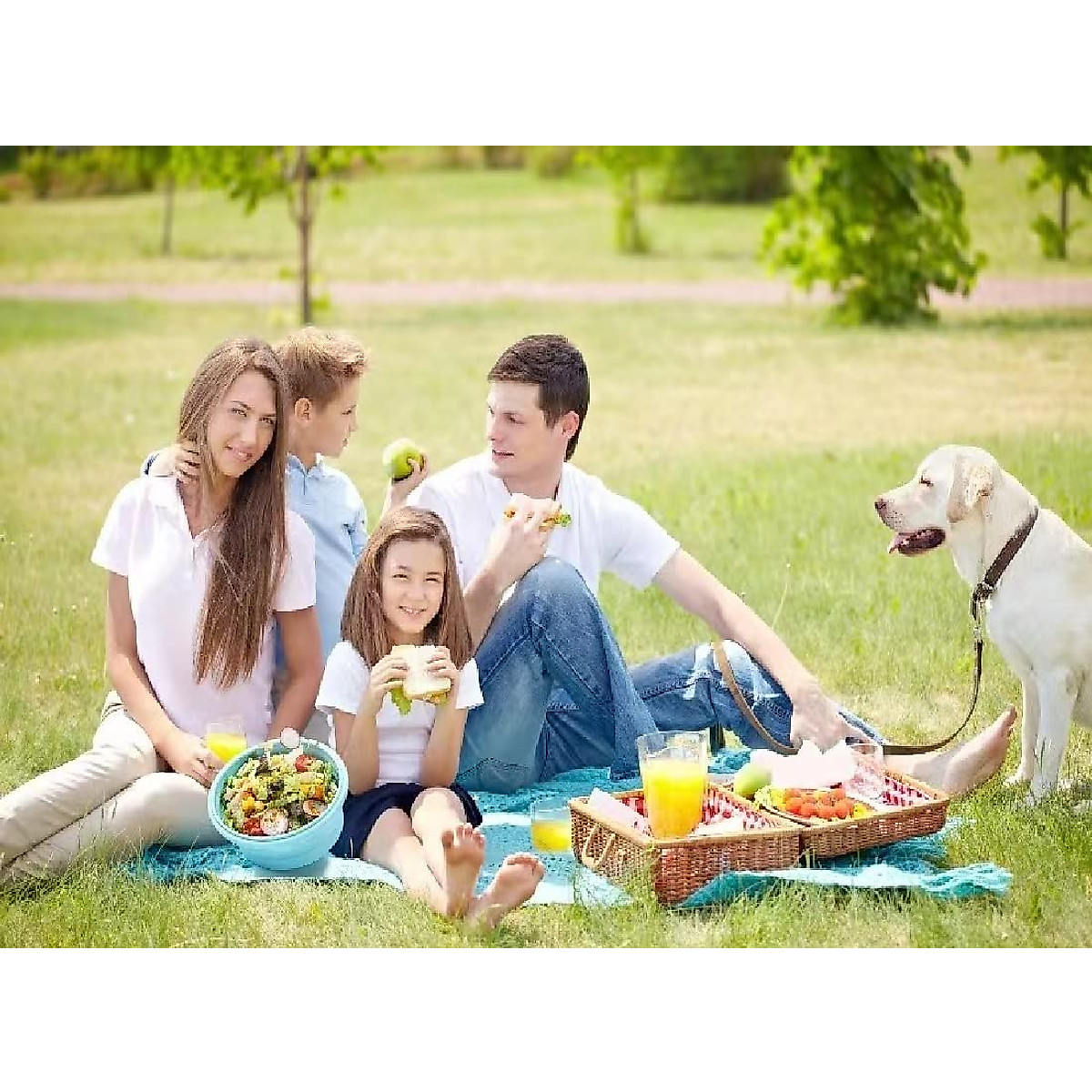 trrcylp 3Pack Collapsible Silicone Food Storage Containers with Lid 17OZ Foldable Airtight Lunch Bowls Camping for Microwave Freezer Dishwasher Safe Round 500ml