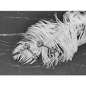 dokreil Shiny CZ Double Skull Barballs Nipple Piercing Body Jewelry for Women