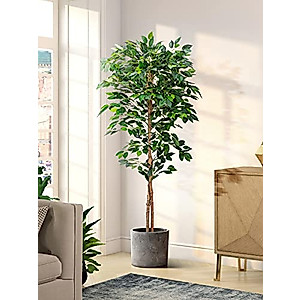 Aphighjoy Faux Plants Artificial Ficus Trees Eucalyptus Trees with Silk Leaves Fake Moss and Sturdy Nursery Pot, Fake Plants for Office Home Decor (5Ft - 1Pack, Upgraded Ficus Tree)