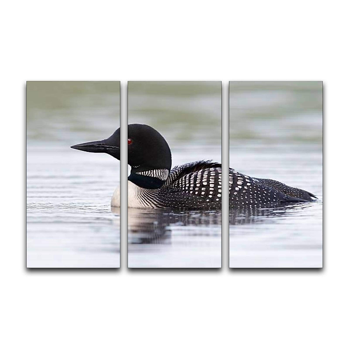 NAENRFERCX 3 Panels Wall Art Pictures Common Loon Swimming on a Lake in Summer Modern Canvas Print Paintings Artwork Framed Posters for Office Home Decor Ready to Hang, 16x32inch