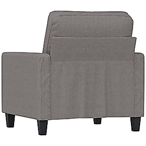 WHOPBXGAD Sofa Chair,Living Room Sofas, upholstered Sofas for Living Rooms, bedrooms, Offices and Apartments,Light Gray 23.6" Fabric