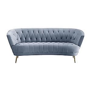 Acme Furniture Upholstered Sofas, Light Gray/Gold