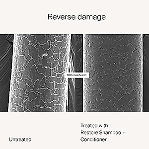 Living Proof Restore Shampoo + Conditioner Bundle
