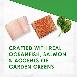 Fancy Feast Gourmet Dry Cat Food (3) Flavor Variety Pack (Filet Mignon, Ocean Fish and Salmon, Chicken and Turkey) Plus Aurora Pet Catnip Toy