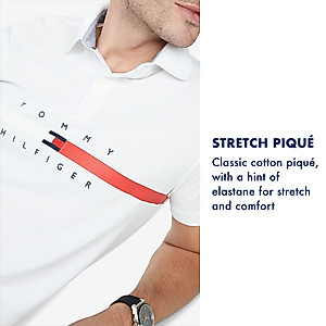 Tommy Hilfiger mens Long Sleeve Flag in Regular Fit Polo Shirt, B10 Grey Heather, Medium US