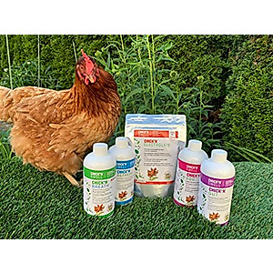 Chick'N Electrolyte for poultry