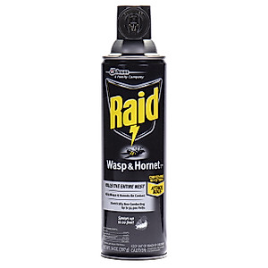 Raid Wasp Hornet Killer Spray (14 Ounce (Pack of 4))