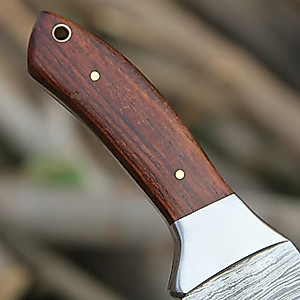 WARIVO KNIFE Hunting knife Full Tang Damascus Gut Hook Knife- EDC 8-inch Gut Hook Skinning knife for Hunting Fixed Blade Knife with Sheath Deer Gutting knives with Rosewood handle