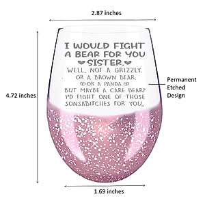 Mothers Day Gifts for Sister, I Would Fight A Bear for You A Care Bear Stemless Pink Wine Glass