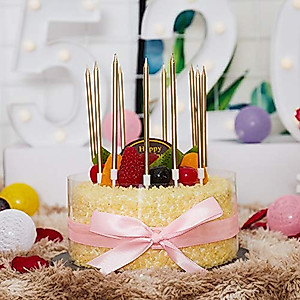 24 Count Metallic Birthday Candles Slow Burning Happy Birthday Cake Candles Long Thin Cake Cupcake Candle in Holders for Lucky Party, Wedding Party, Birthday Party Congregation (Champagne Gold)