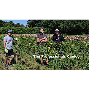 Biostretch Soft Plant Ties for Climbing Plants (Stretchy Green Garden Twine and Plant String - Olive Bio Roll X 1)