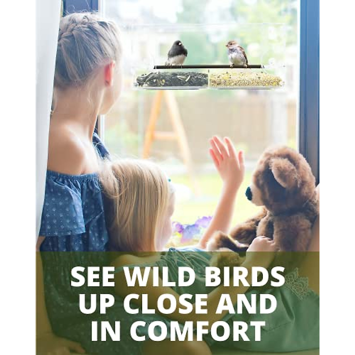 Nature's Envoy Window Bird Feeder – Clear View for Birdwatching - Strong Suction Cups for Outside - Slide Out Seed Tray w/Drain Holes for Easy Refill & Clean - Acrylic Outdoor Feeder for Wild Birds