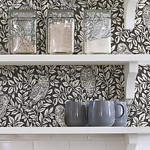 NuWallpaper NUS3625 Sleepy Owls Peel & Stick Wallpaper, Charcoal