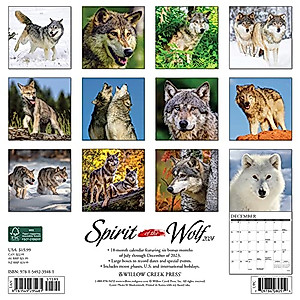 Willow Creek Press Spirit of the Wolf Monthly 2024 Wall Calendar (12" x 12")