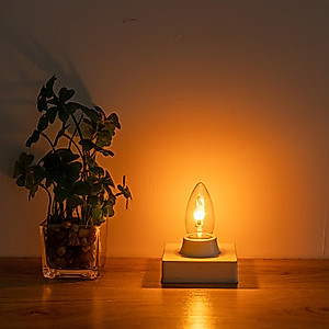 Sunaiony LED Flickering Light Bulbs E26 Flame Effect Bulb Standard Base, Fire Light Bulbs for Halloween Christmas Decoration, 2 Pack