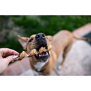 hotspot pets Spring Bully Sticks for Dogs - (12 Pack) Premium All Natural Long Twisted Beef Pizzle Dog Chew Treats - Grain Free Fully Digestible Rawhide Alternative - 6 Inch Stix