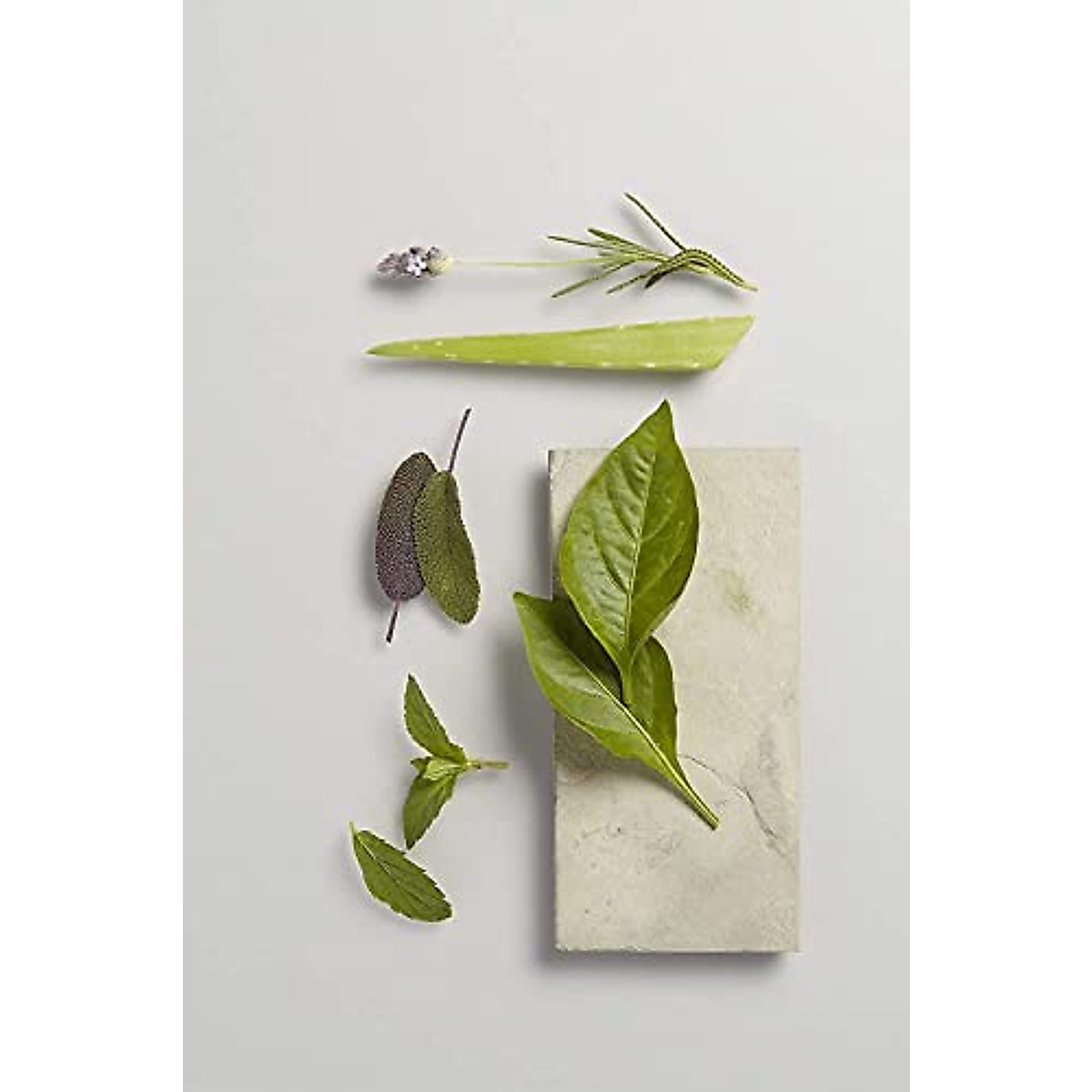 OPI ProSpa Exfoliating Sugar Scrub, 4.8 oz