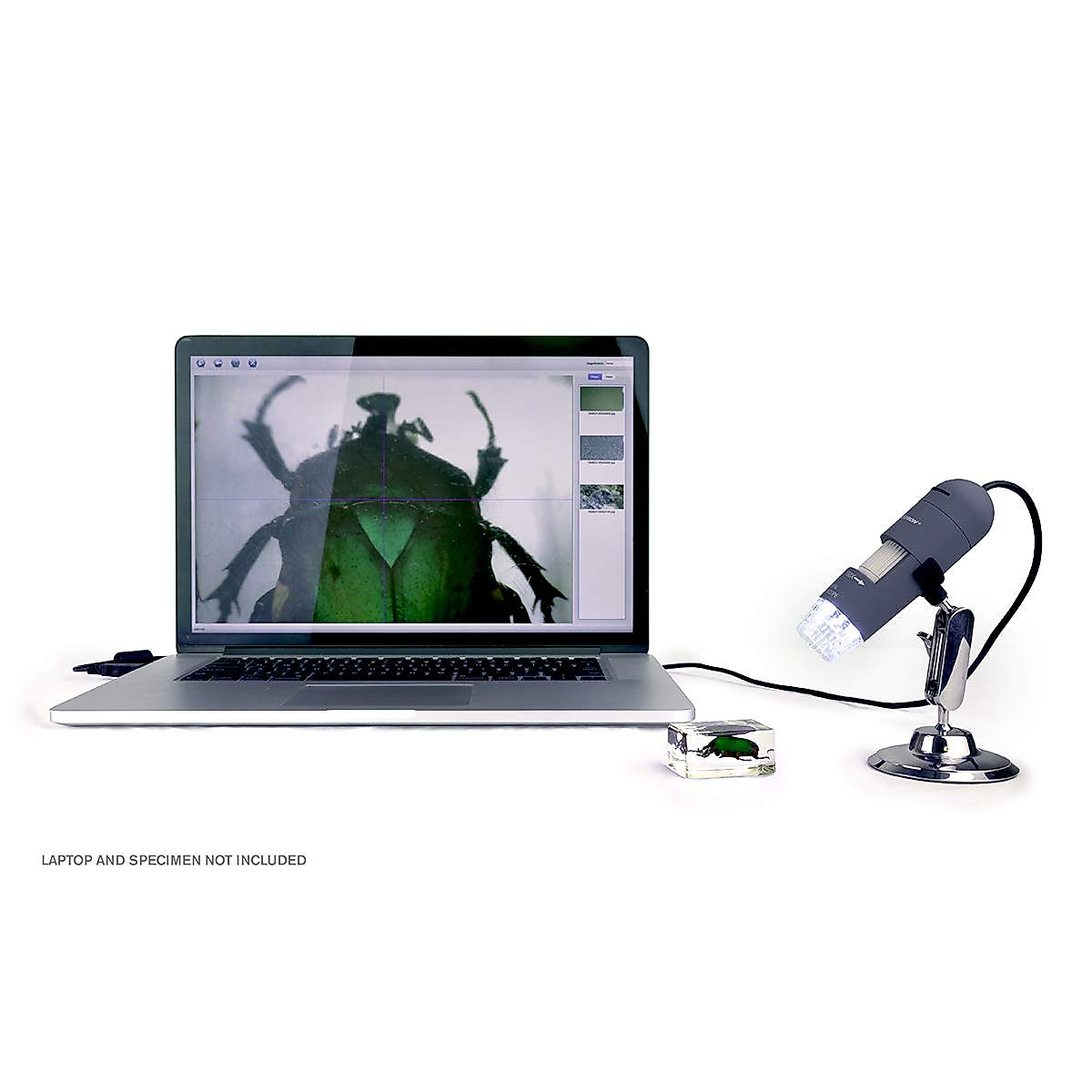 Celestron Deluxe Handheld Digital Microscope, Capture Your Discoveries, (44302-C), Grey