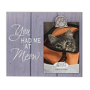 Esselte Abbey & CA Gift Cat Frame-You Had Me at Meow, One Size, Multicolored