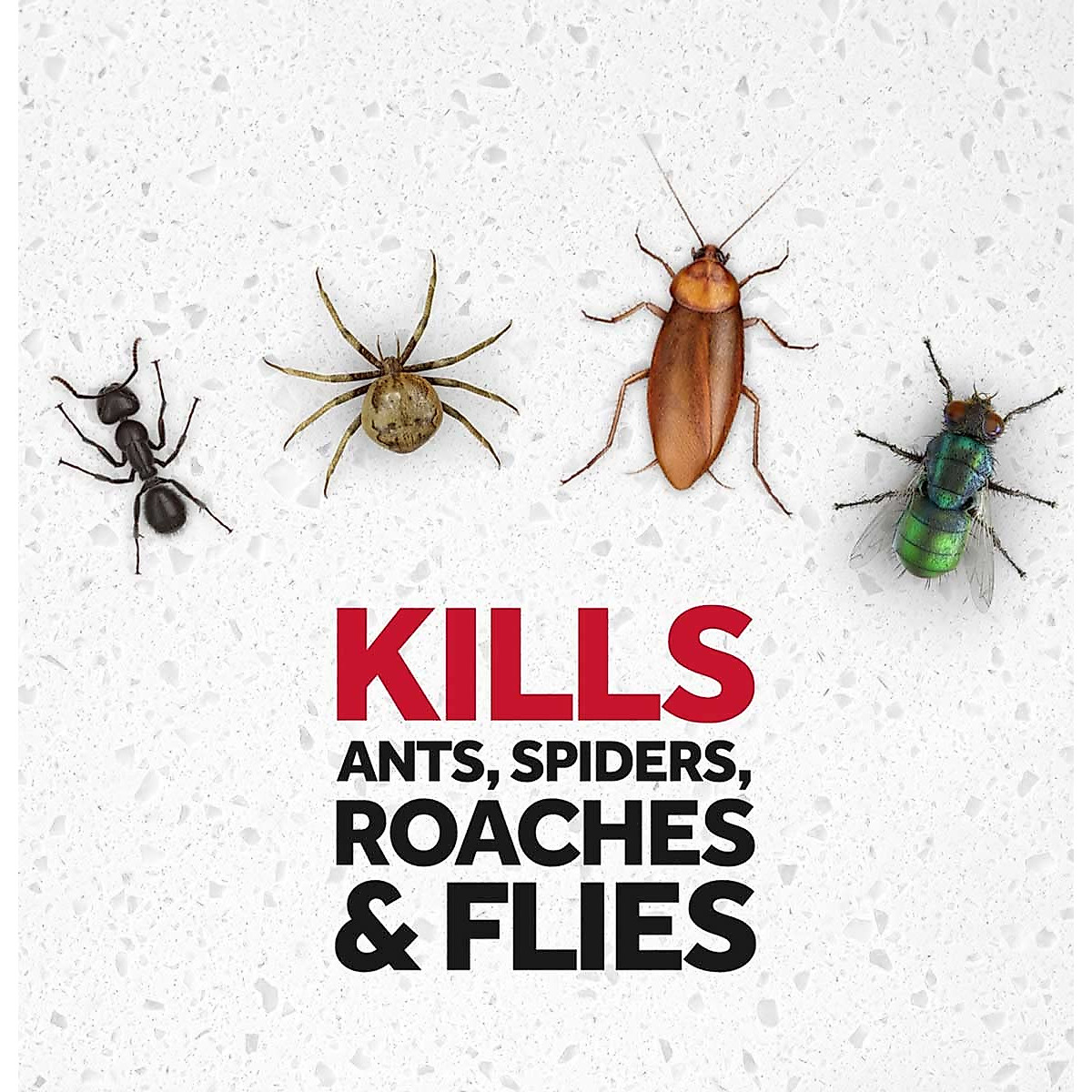 Raid Multi Insect Killer, Kills Ants, Spiders, Roaches and Flies, for Indoor and Outdoor use, 15 Oz (Pack of 4)