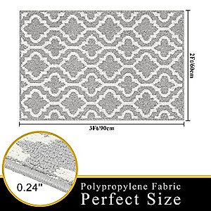 Vaukki Indoor Doormat Runner Rug, Indoor Door Mat, Washable Modern Kitchen Mat, Non Slip Entryway Rug, Entrance Mat for Hallway, Bedroom, Kitchen and Laundry Room (2'x3', Grey)