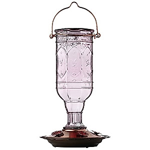 More Birds Amethyst Jewel Hummingbird Feeder, Glass Hummingbird Feeders for Outdoors, 5 Feeding Stations, 20 Ounces