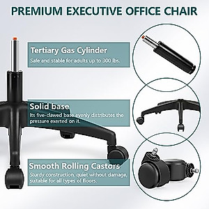 FelixKing Ergonomic Office Chair, Headrest Desk Chair with Adjustable Lumbar Support, Home Office Swivel Task Chair with High Back and Armrest, Adjustable Height Gaming Chair(Black)