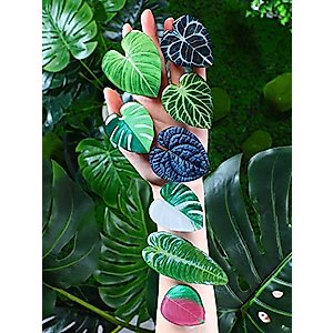 8 Pcs Leaves Phone Holder Green Plant Cell Phone Grip Holder Monstera Philodendron Anthurium Phone Sockets Cute Phone Finger Collapsible Expanding Kickstand Holder for Smartphone and Tablets