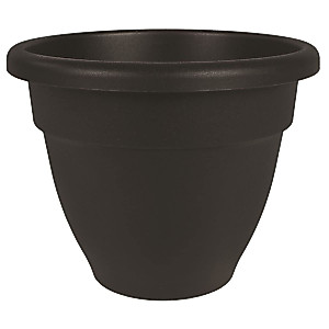 The HC Companies 8 Inch Caribbean Planter - Lightweight Indoor Outdoor Plastic Plant Pot for Herbs and Flowers, Black
