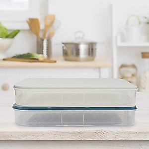 Cabilock 3PCS Refrigerator Dumpling Box Plastic Dumpling Container Fresh Keeping Food Tray Fridge Food Organizer for Veggie Fruit Bun Dough (Random Color)