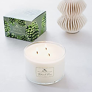 Soap & Paper Factory Roland Pine 18 oz Three-Wick Soy Candle