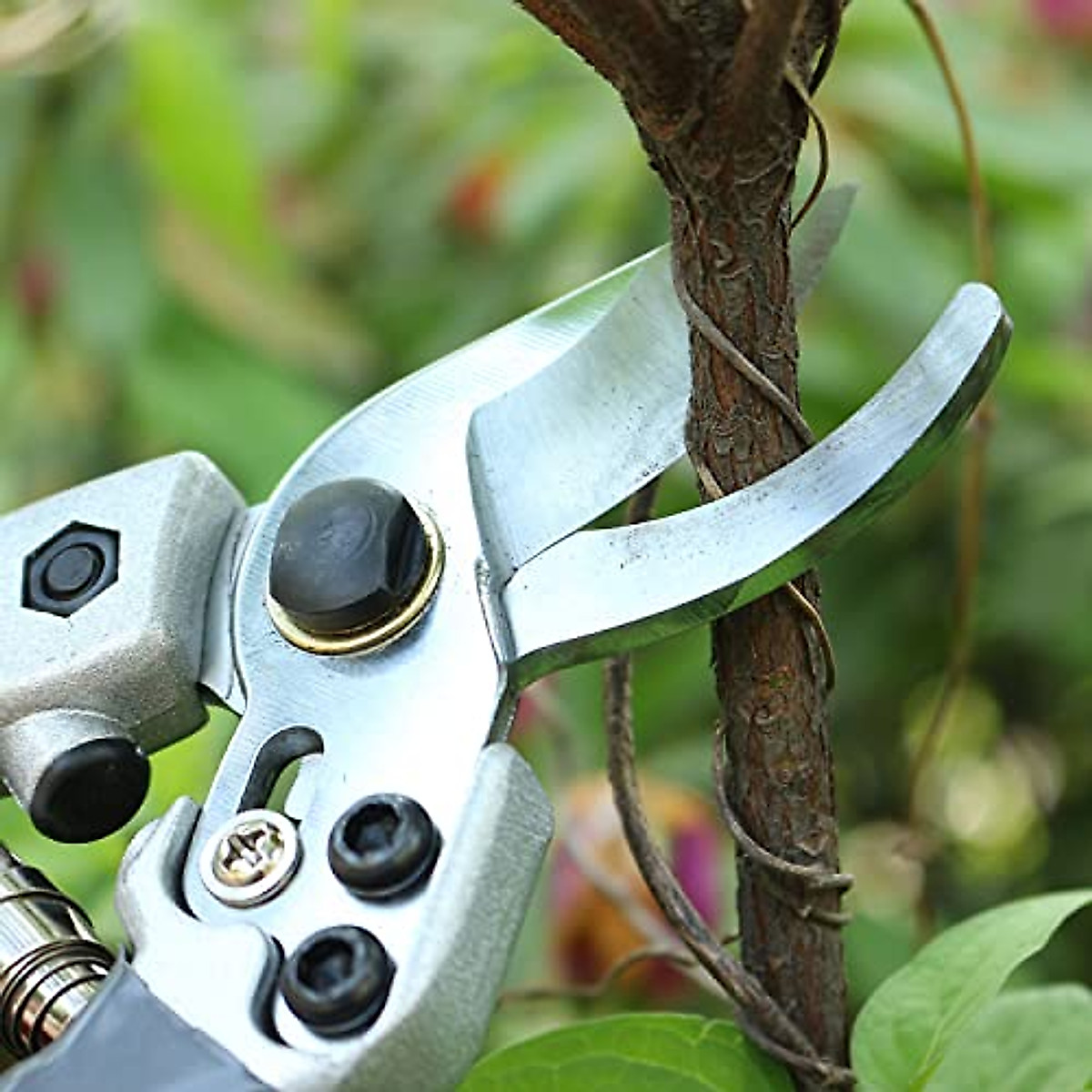 Gardzen 8" Bypass Pruning Shear Garden Scissors, SK5 Sharp Precision Cut Steel Blade Pruner, Blade Lock