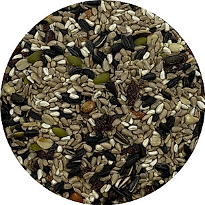 Songbird Essentials Wild Bird Food, Essential Nuts and Berries Premium Blend Bird Seed, Nuts and Fruit, 5 Pound Bag, Nitrogen Flushed