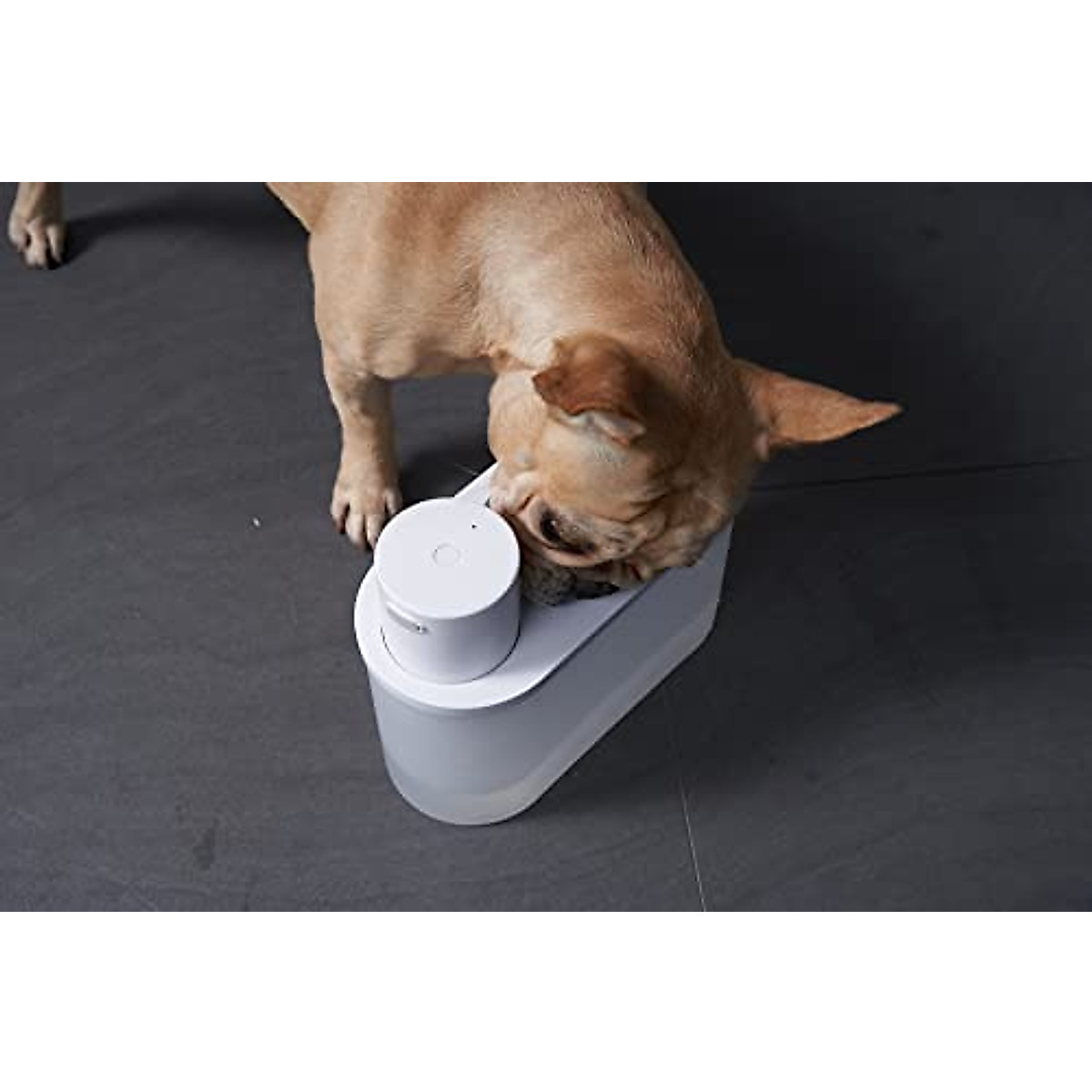 Cat Water Fountain Battery Operated: Automatic Pet Water Dispenser Wireless Powered Inside for Small Dog Pet - 67oz/2L Water Bowl - Ultra Quiet Smart Pump by Motion Sensor - 30-60days Battery Life