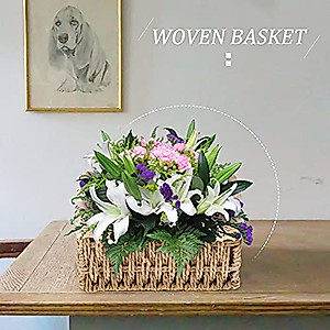 Veemoon . Snacks Makeup Bowls Seagrass Cloth Candy Books Tabletop Inch Food Office Shelves Holder Organizer Storage Wooden M Baskets Bin Snack Rectangular Baskets, Woven Cosmetics Liner