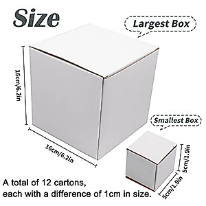 Cuyacili Prank Gift Boxes Nesting Gift Boxes Surprise Box White Carton Square Prank Box Funny Gag Gift for Weddings Anniversaries Birthday Packaging Presents 12 Nesting Cartons (1.9-6.3 Inch)