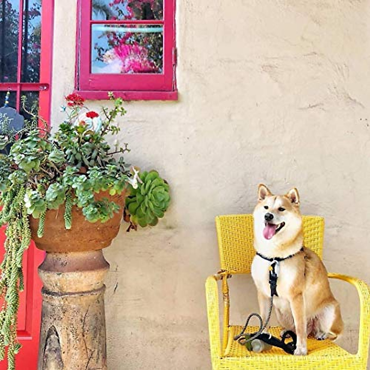 Pogi’s Dog Poop Bags - 30 Rolls (450 Doggie Poop Bags) - Leak-Proof Dog Waste Bags - Scented, Ultra Thick, Extra Large Poop Bags for Dogs