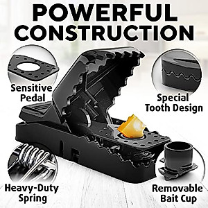 Instant Mouse Mice Traps Pack of 6 - for House, Indoor & Outdoor - Easy Setup & Reusable w/Powerful Spring - Quick & Effective Mousetrap Catcher, Best Traps to Remove Unwanted Rodents from Your Home