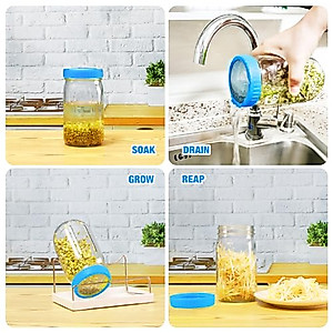 Sprouting Jars, Sprout Growing Kit Including Wide Mouth Mason Jars, Sprout Lids, Blackout Sleeves, Tray and Stander, Sprouts Growing Kit for Microgreens Alfalfa Broccoli