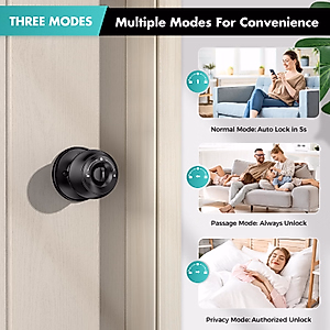 Fingerprint Door Lock，Fingerprint and Keypad Input Smart Door knob, App Controlled Biometric Door Lock, Keyless Entry, Bedroom, Office, Hotel, Apartment Auto Door knob(Matte Black)