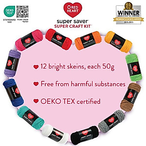 Red Heart Super Saver Super Yarn Craft Kit for Knitting, Crocheting, Crafts & Amigurumi Projects