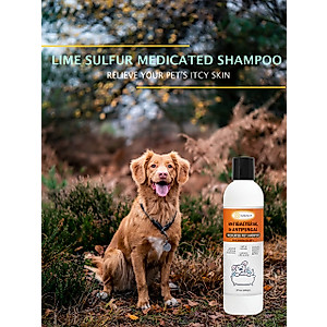 Healthy Paw Life Classic's Lime Sulfur Pet Shampoo - Pet Care and Veterinary Solution for Itchy and Dry Skin - Safe for Dog, Cat, Puppy, Kitten, Horse