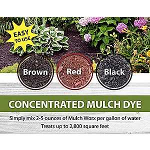 MulchWorx Black Mulch Color Concentrate- Quart - Treats 2,800 Sq. Ft. - Pure Midnight Black Mulch Dye Spray