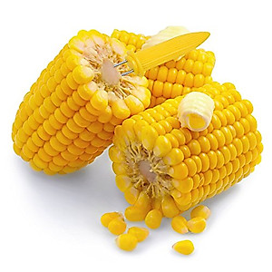 Elcoho 25 Pack 3.35 Inch Large Corn Holders Stainless Steel Corn on the Cob Skewers Holders with Storage Box