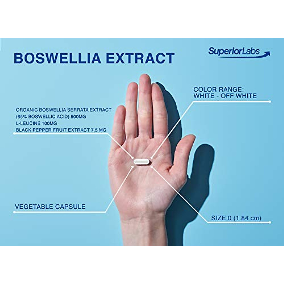 Superior Labs Boswellia Extract - Pure Non GMO Boswellic 65% Acids. Superior Absorption Zero Synthetic Additives - Powerful Formula Joint, Knees, Hips, Immune, 500mg SVG, 240 Veg Capsules