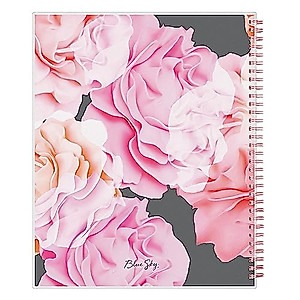 Blue Sky 2024 Weekly and Monthly Planner, January - December, 8.5" x 11", Frosted Cover, Wirebound, Joselyn (110394-24)