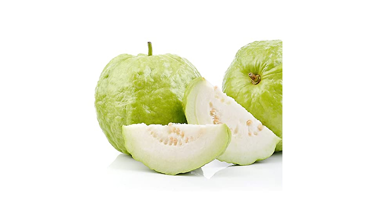 Grow Organic White Guava Seeds | Easy Gardening with QAUZUY GARDEN