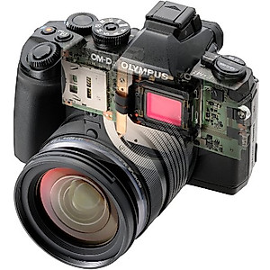 Olympus OM-D E-M1 Mirrorless Micro Four Thirds Digital Camera with ED 12-50mm f3.5-6.3 EZ Lens Kit - International Version (No Warranty)