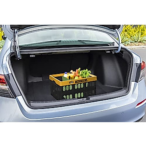 Set of 2 NCAA University of Missouri Stackable & Collapsible Crate / Storage Bin - Perfect For Books, Clothes in Dorms, Rooms & Closets - Basket Collapses / Ideal for Price Club Runs 50 Lb Capacity